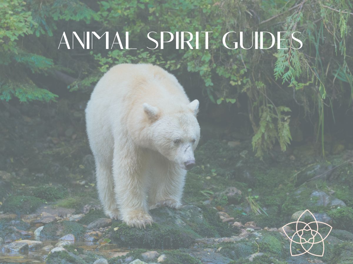 Animal Spirit Guides - Claire Stone